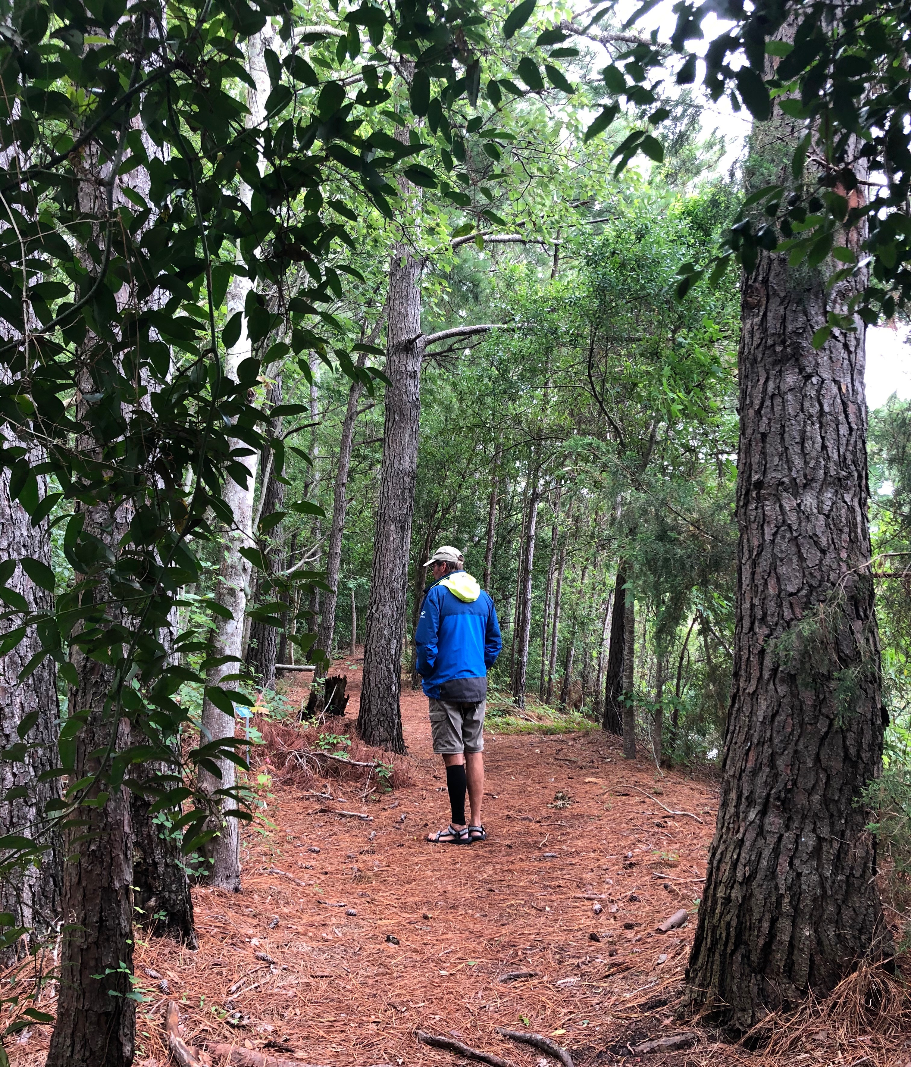 Jim the Wizard Mechanic. – Adventures on the Club