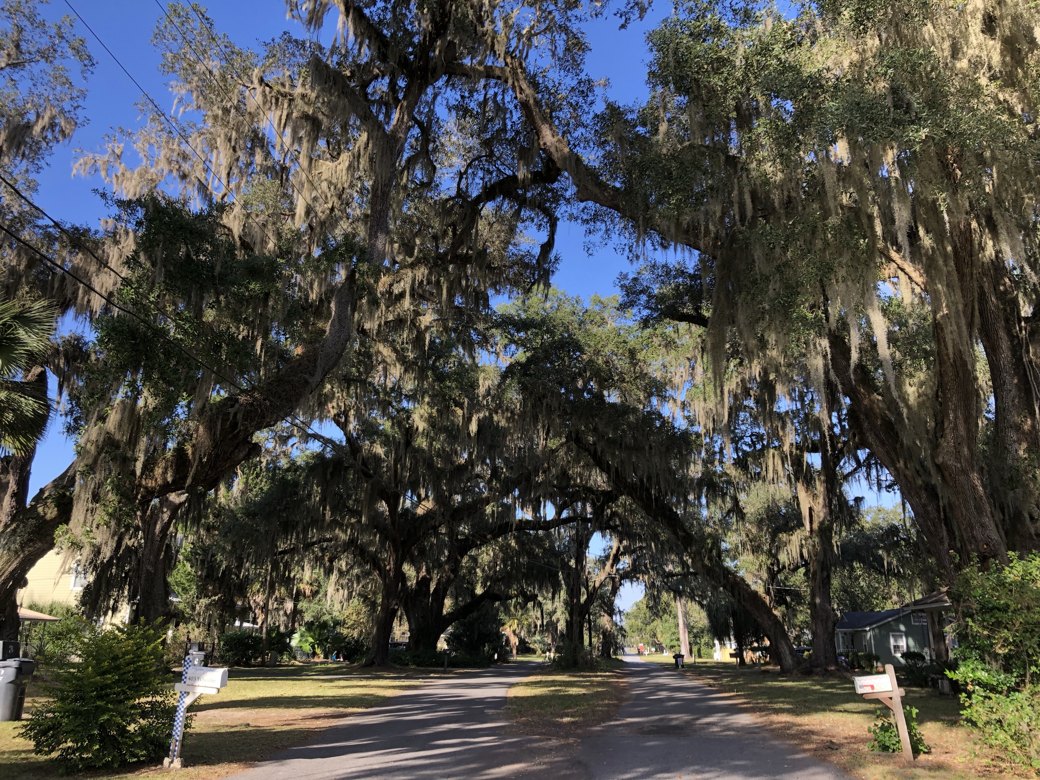 Literally stuck in St. Marys. – Adventures on the Club